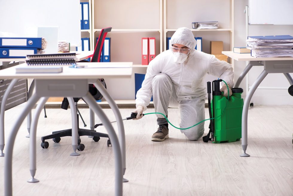 Dust Queen - Top Rated Cleaning Services Edmonton