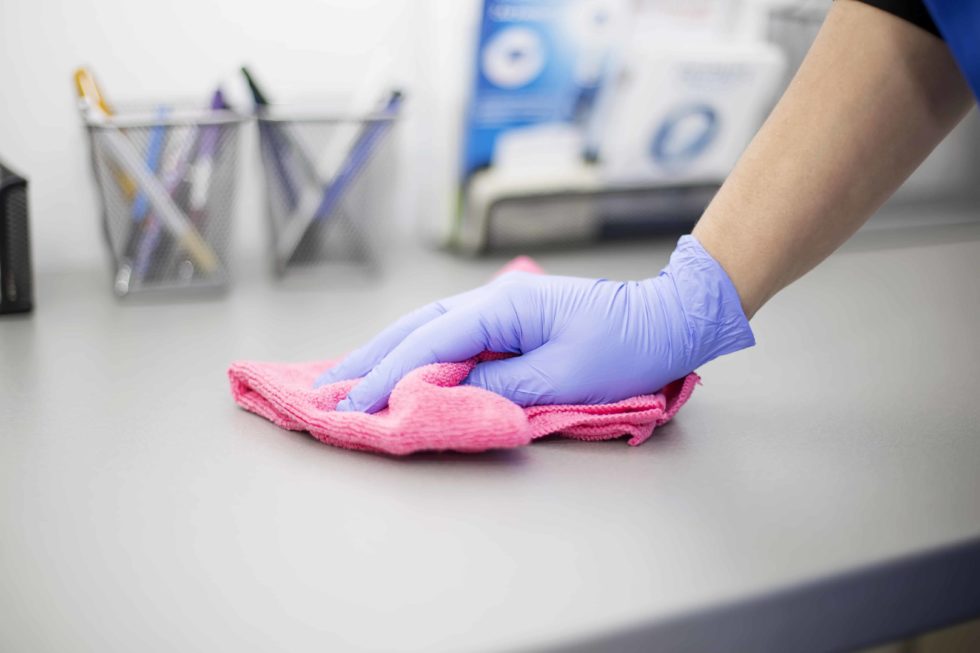 Dust Queen - Top Rated Cleaning Services Edmonton